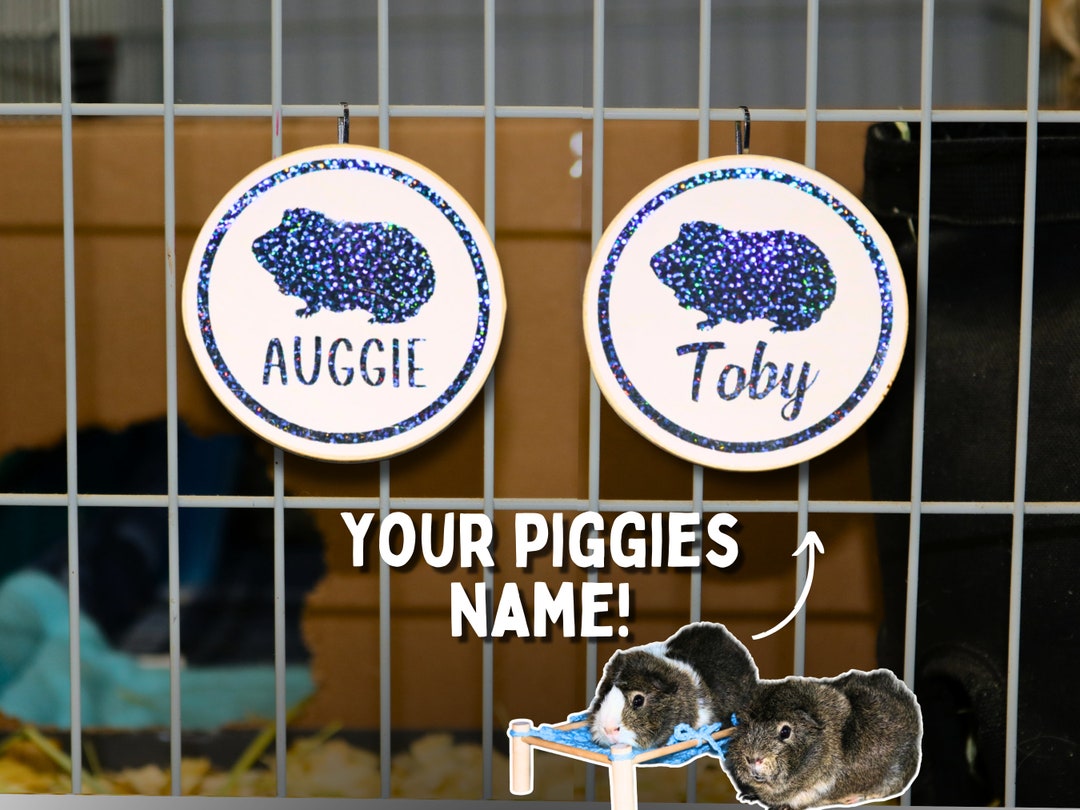 Holographic Guinea Pig Name Sign Customizable Wooden Cage Decor ...