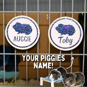 Holographic Guinea Pig Name Sign Customizable Wooden Cage Decor ...