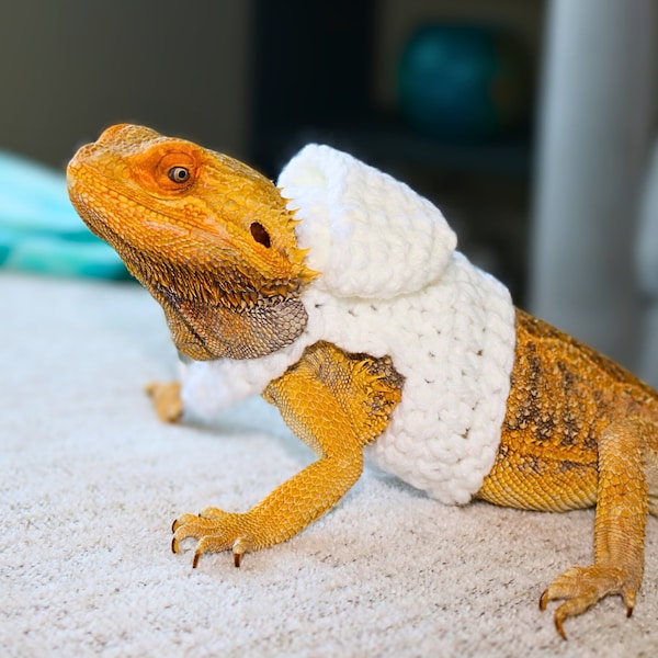 Dragon Accessories - Etsy