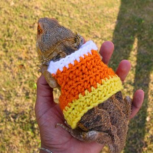 Bearded Dragon Candy Corn Costume Sweater, Halloween Lizard Sweater ...