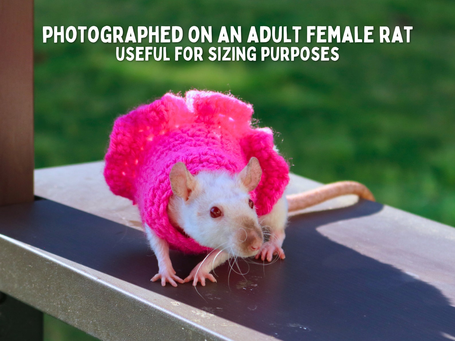 Rat Dress for Rat Crochet Dress for Pet Rat Sweater for Fancy Rat ...