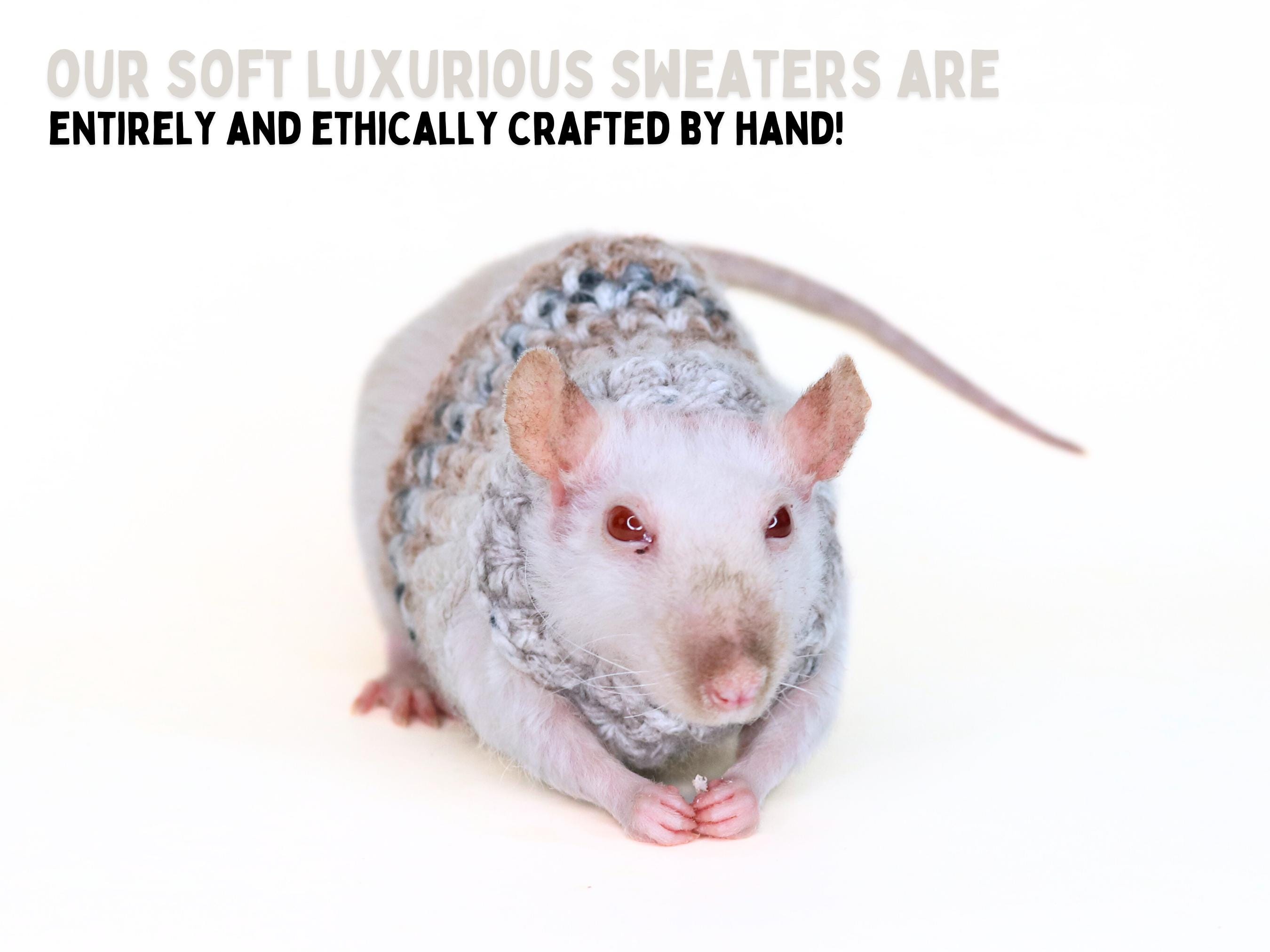 Crochet Rat Sweater for Fancy Rat Clothing for Small Pet Clothing for ...