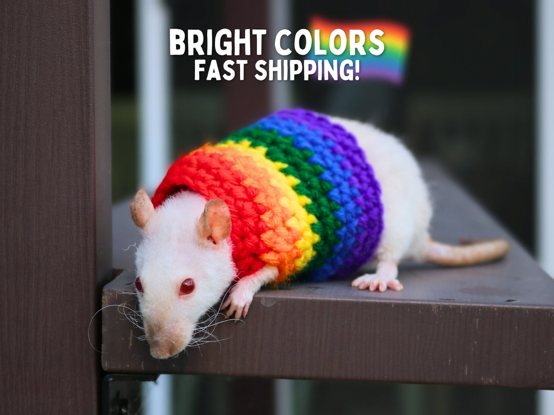 Rainbow Rat Sweater for Rat Crochet Sweater for Small Pet Pride ...