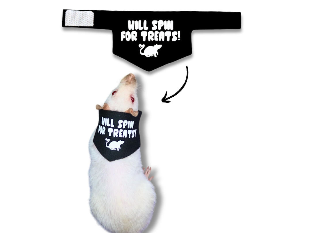 Rat Bandana for Pet Rat Clothing for Fancy Rat Accessory for Small Pet ...