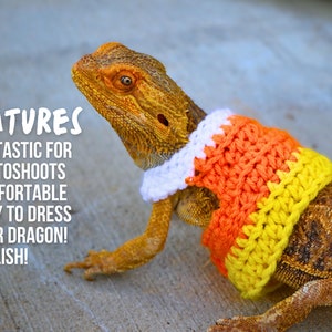 Bearded Dragon Candy Corn Costume Sweater, Halloween Lizard Sweater ...