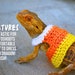 Bearded Dragon Candy Corn Costume Sweater, Halloween Lizard Sweater ...