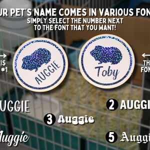 Holographic Guinea Pig Name Sign Customizable Wooden Cage Decor ...