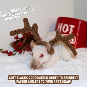 Reindeer Antlers for Pet Rat Christmas Outfit for Small Pet Christmas ...