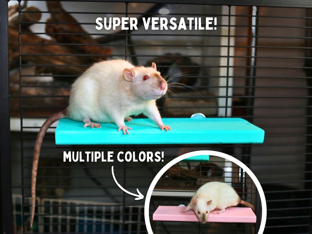 Wooden Rat Cage Platform for Fancy Rat Cage Ledge for Chinchilla Cage ...