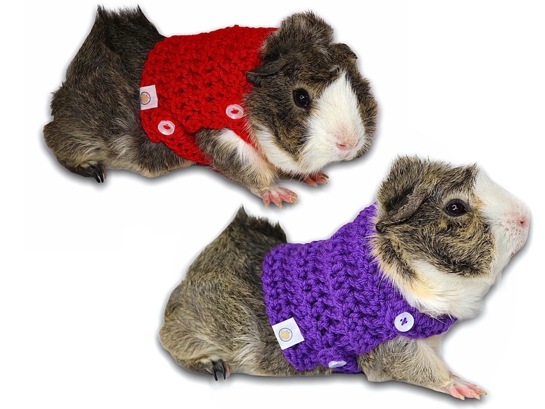 Guinea Pig Sweater for Pets Clothes for Pet Guinea Pig Sweaters Pet Shirt for Skinny Pig Guinea ...