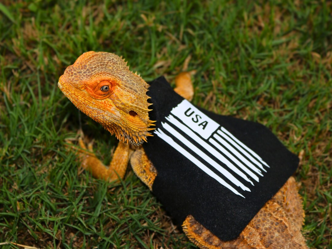USA Flag Shirt for Bearded Dragon Funny Shirt for Bearded Dragon Rugged ...