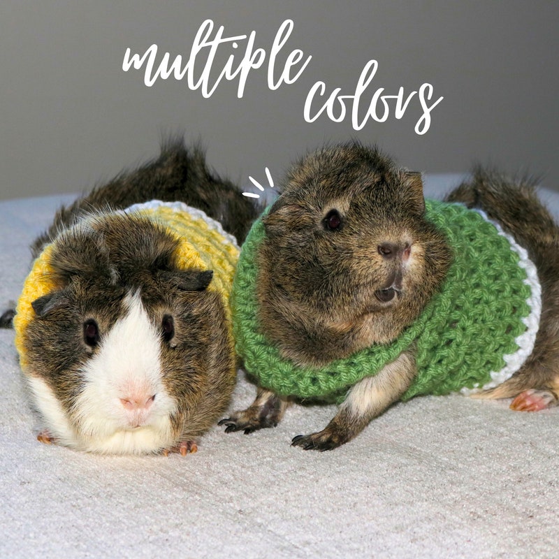 Guinea Pig Clothing Outfits - Etsy