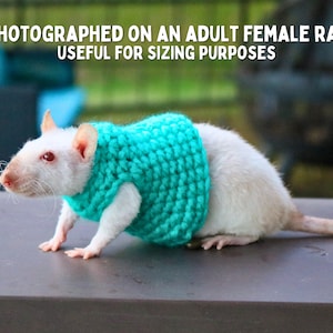 Rat Sweater for Rat Crochet Sweater for Small Pet Sweater for Fancy Rat ...