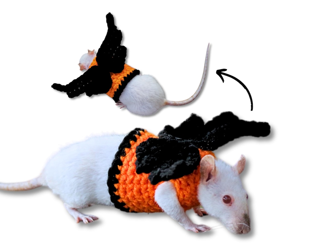 Rat Halloween Costume for Pet Rat Costume for Small Pet Halloween ...