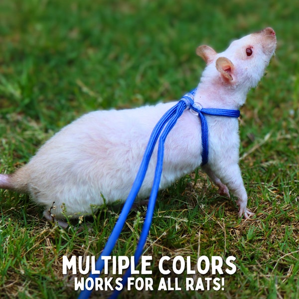 Rat Accessories - Etsy