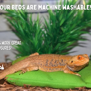 Bearded Dragon Bed "the Beardie Bed" Lizard Reptile Accessories for ...