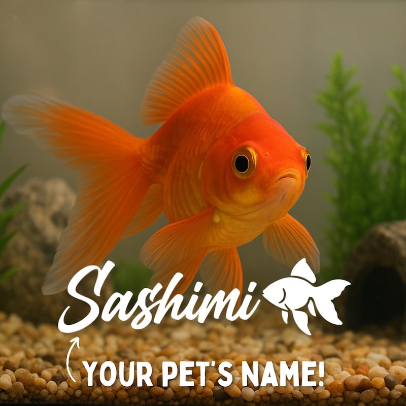 Custom Fish Tank Labels - Etsy