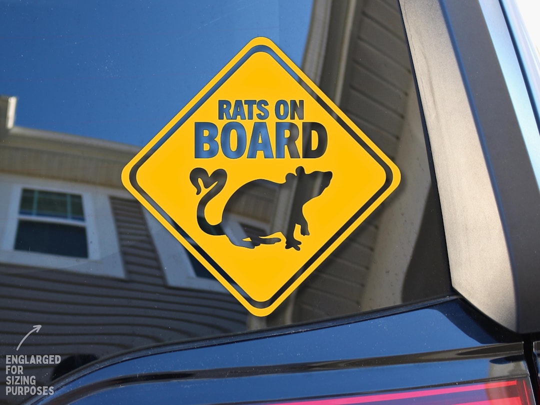 Pet Rat Car Decal for Rat Owner Gift for Fancy Rat Owner Car Decal ...