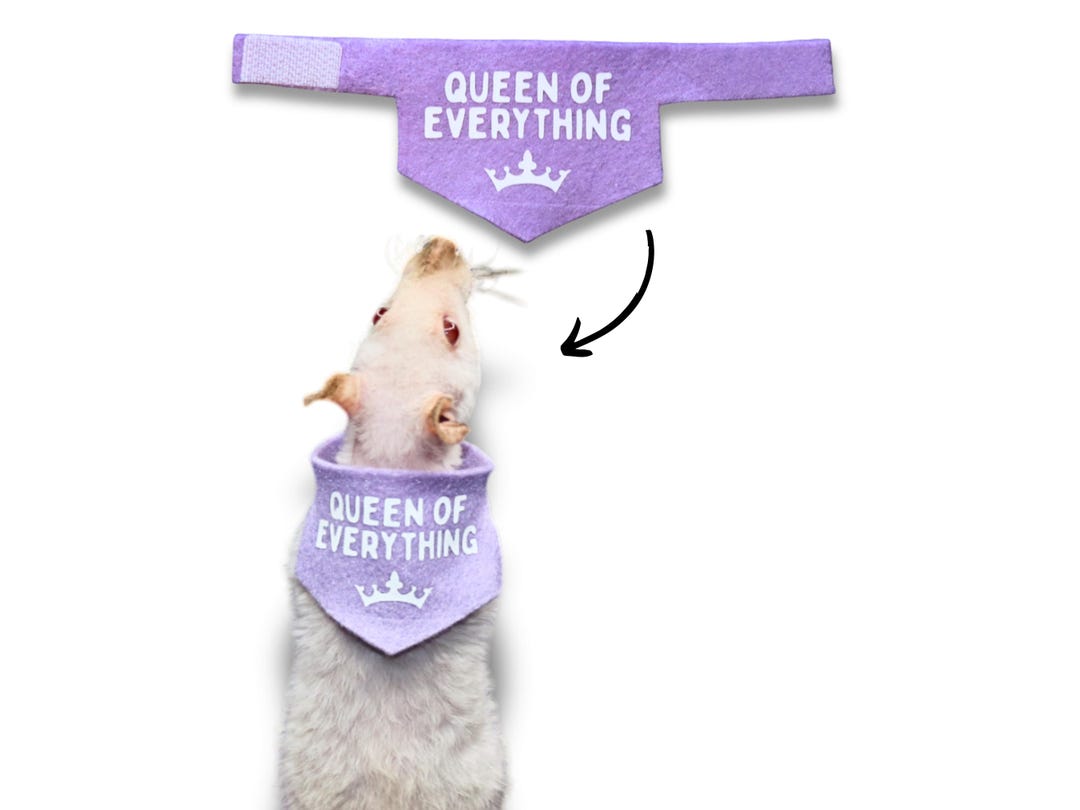 Rat Bandana for Pet Rat Clothing for Fancy Rat Accessory for Small Pet ...