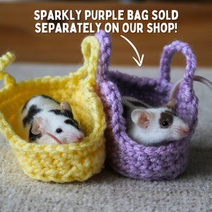 Small Pet Carrier for Mouse Carrier for Rodent Toy for Mouse Cage Toys ...