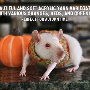 Rat Sweater for Rat Crochet Sweater for Small Pet Sweater for Fancy Rat ...