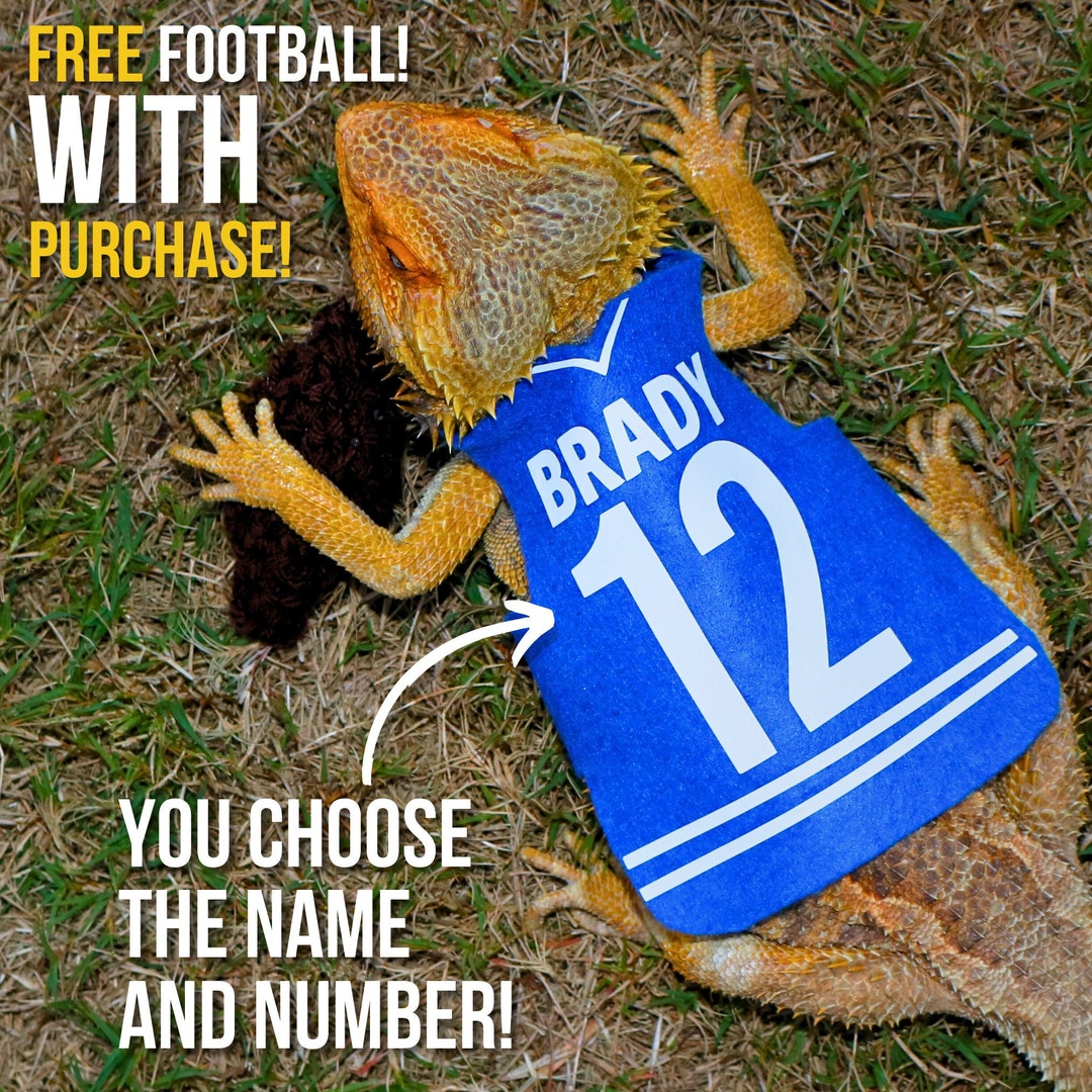 Football Jersey for Bearded Dragon Costume Football Jersey for Reptile ...