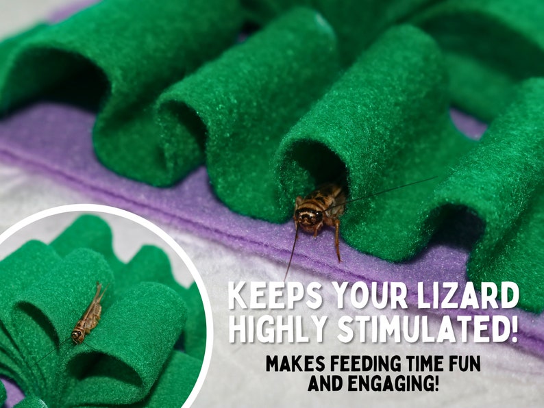 Bearded Dragon Foraging Mat for Reptile Forage Toy for Lizard Foraging ...