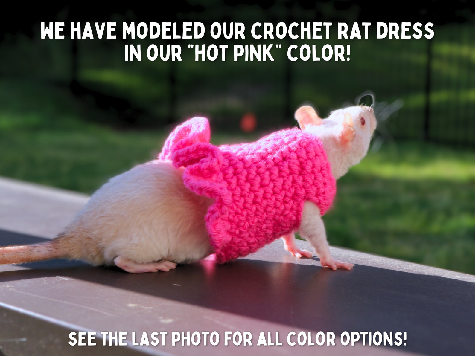 Rat Dress for Rat Crochet Dress for Pet Rat Sweater for Fancy Rat ...