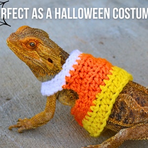 Bearded Dragon Candy Corn Costume Sweater, Halloween Lizard Sweater ...