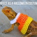 Bearded Dragon Candy Corn Costume Sweater, Halloween Lizard Sweater ...