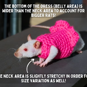 Rat Dress for Rat Crochet Dress for Pet Rat Sweater for Fancy Rat ...