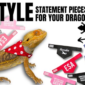 Emotional Support Dragon Bandana for Bearded Dragons Custom ...