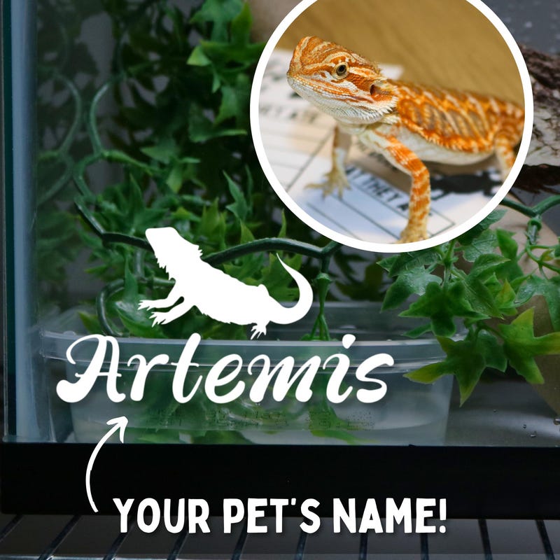 Custom terrarium label - Etsy.de