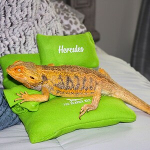Bearded Dragon Bed "the Beardie Bed" Lizard Reptile Accessories for ...