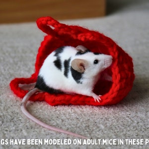 Small Pet Carrier for Mouse Carrier for Rodent Toy for Mouse Cage Toys ...