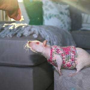 Rat Sweater for Rat Crochet Sweater for Small Pet Sweater for Fancy Rat ...