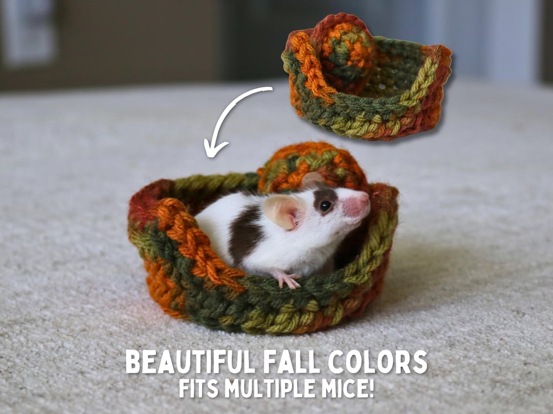 Mouse Bed for Small Animal Bed for Fancy Mouse Cage Accessory for ...