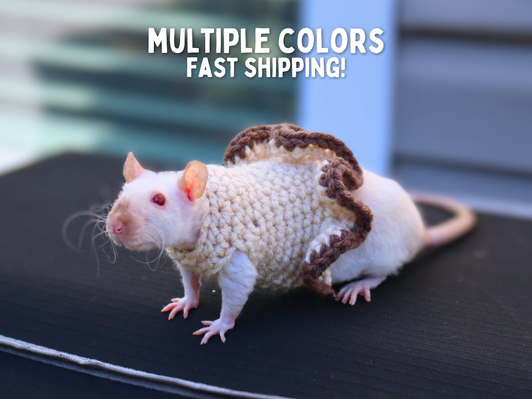 Rat Dress for Rat Crochet Dress for Pet Rat Sweater for Fancy Rat ...
