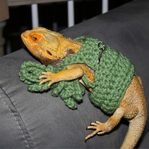 Lizard Leash for Bearded Dragon Harness for Iguana Harness for Pets ...