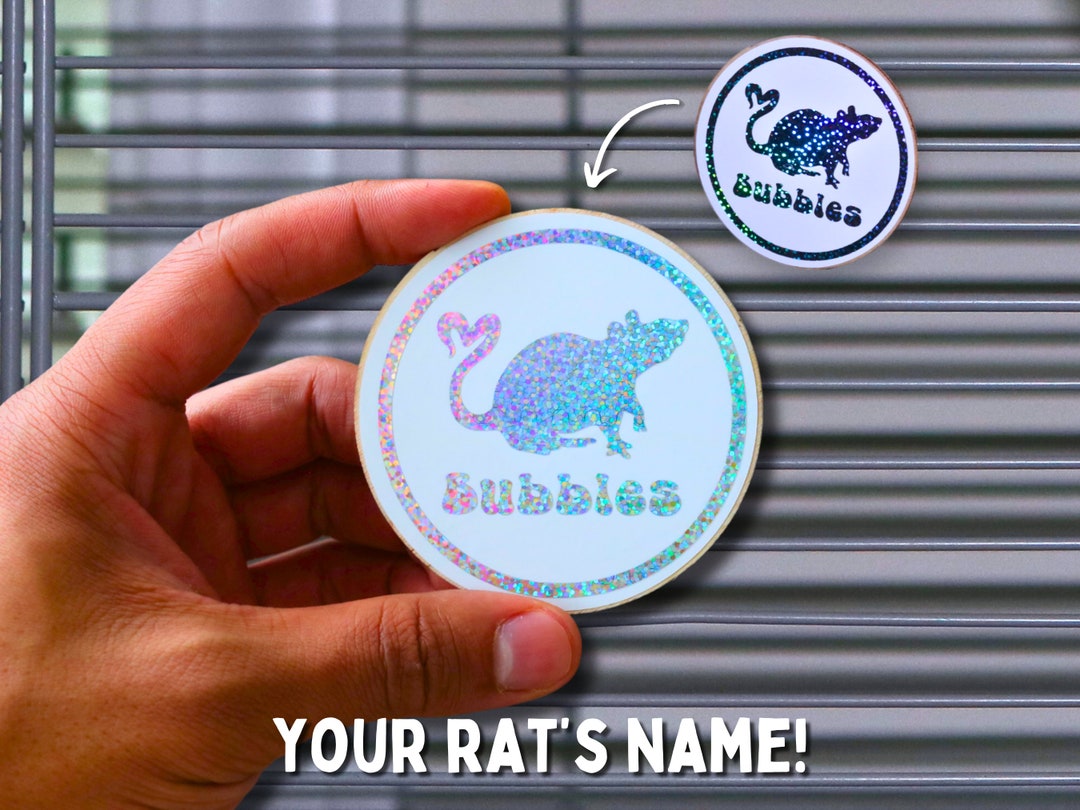 Holographic Rat Name Sign Customizable Rat Cage Sign for Rat Cage Name ...
