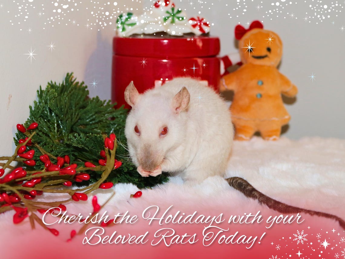Reindeer Antlers for Pet Rat Christmas Outfit for Small Pet Christmas ...