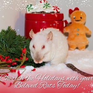 Reindeer Antlers for Pet Rat Christmas Outfit for Small Pet Christmas ...