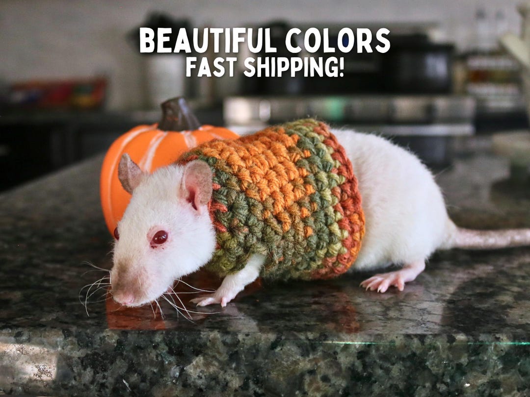 Rat Sweater for Rat Crochet Sweater for Small Pet Sweater for Fancy Rat ...
