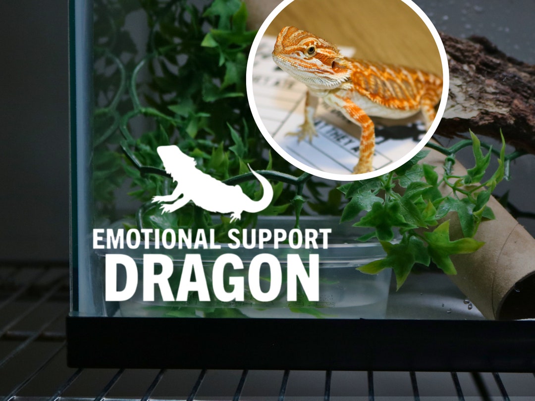 Emotional Support Dragon Decal for Bearded Dragon Accessories for ESA ...