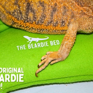 Bearded Dragon Bed "the Beardie Bed" Lizard Reptile Accessories for ...