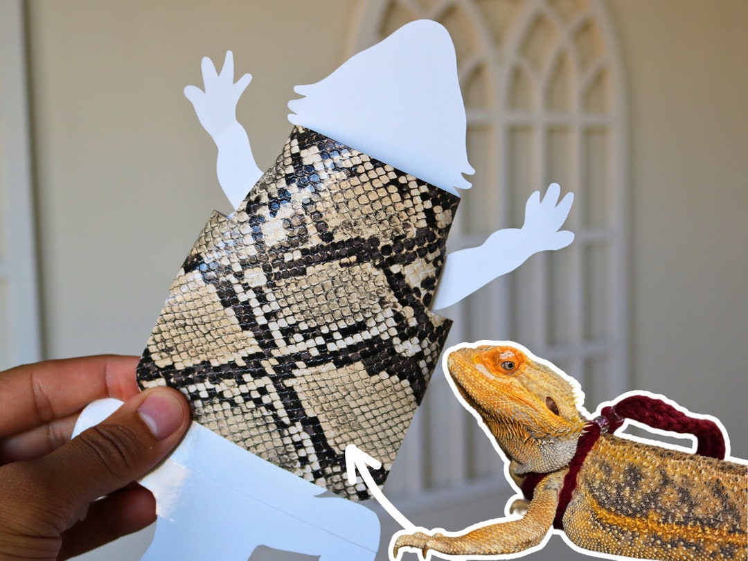 Snake Skin Shirt for Bearded Dragon Luxury Snake Skin Clothing and ...