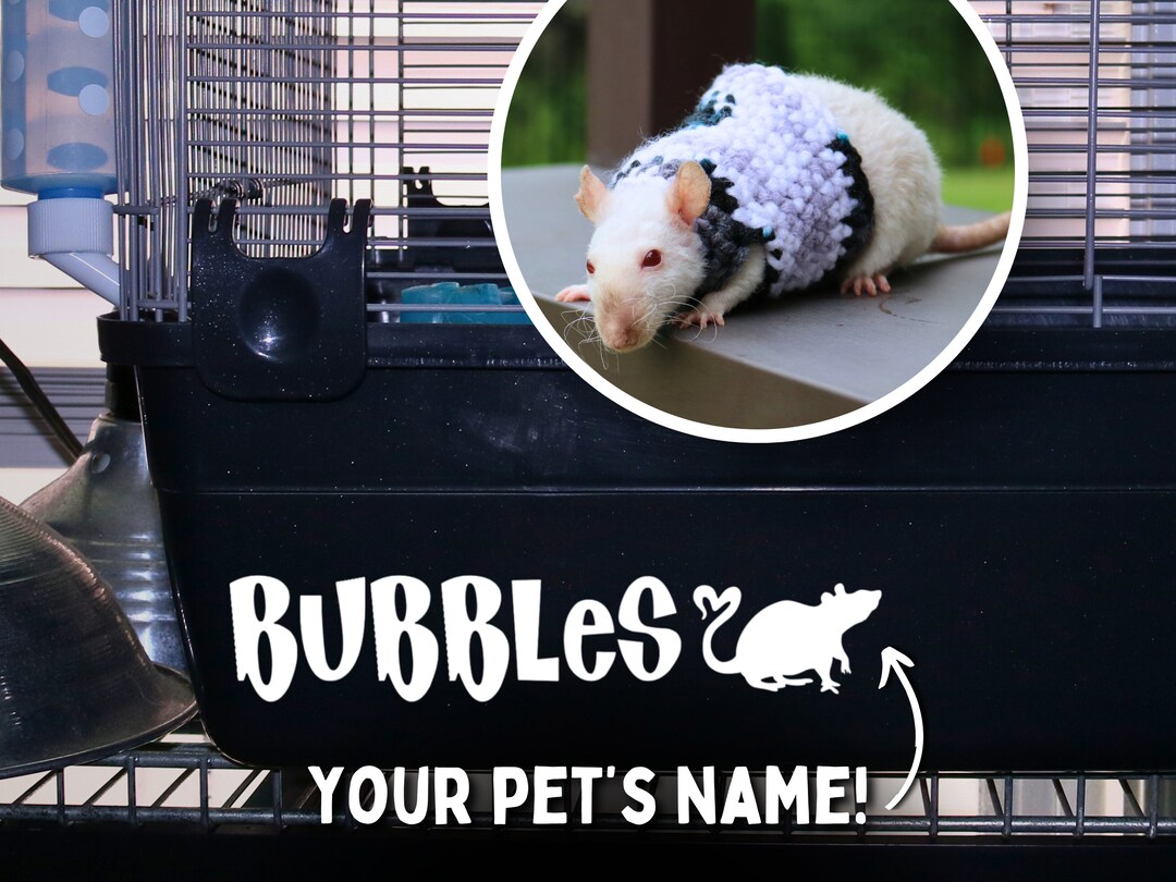 Rat Name Cage Decal for Rat Cage Custom Sign for Rat Cage Accessory for ...