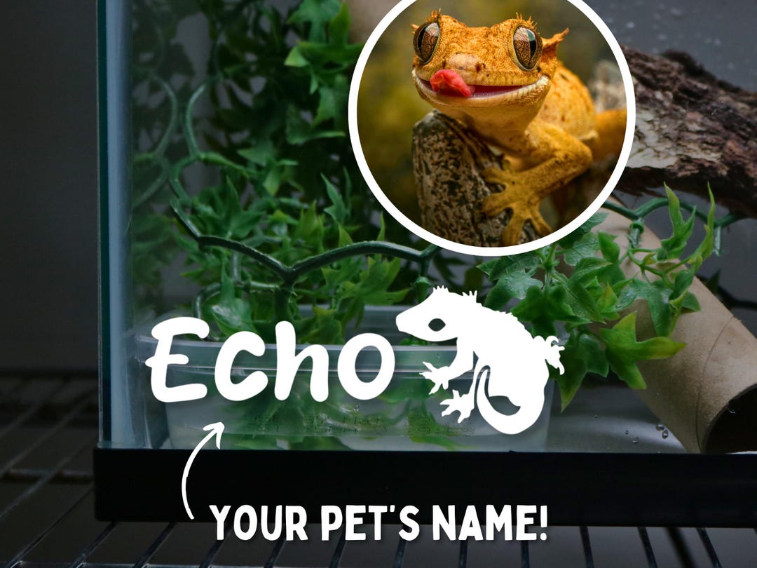 Crested Gecko Name Decal for Crested Gargoyle Enclosure Accessories for ...