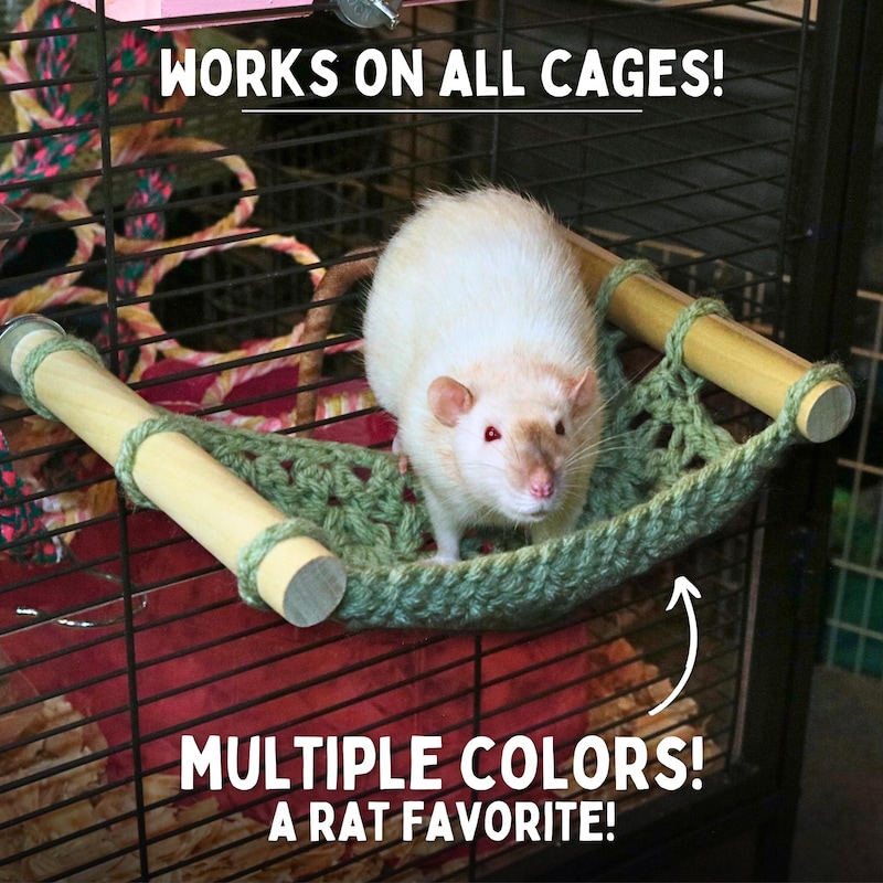 Rat Hammock - Etsy