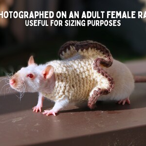 Rat Dress for Rat Crochet Dress for Pet Rat Sweater for Fancy Rat ...